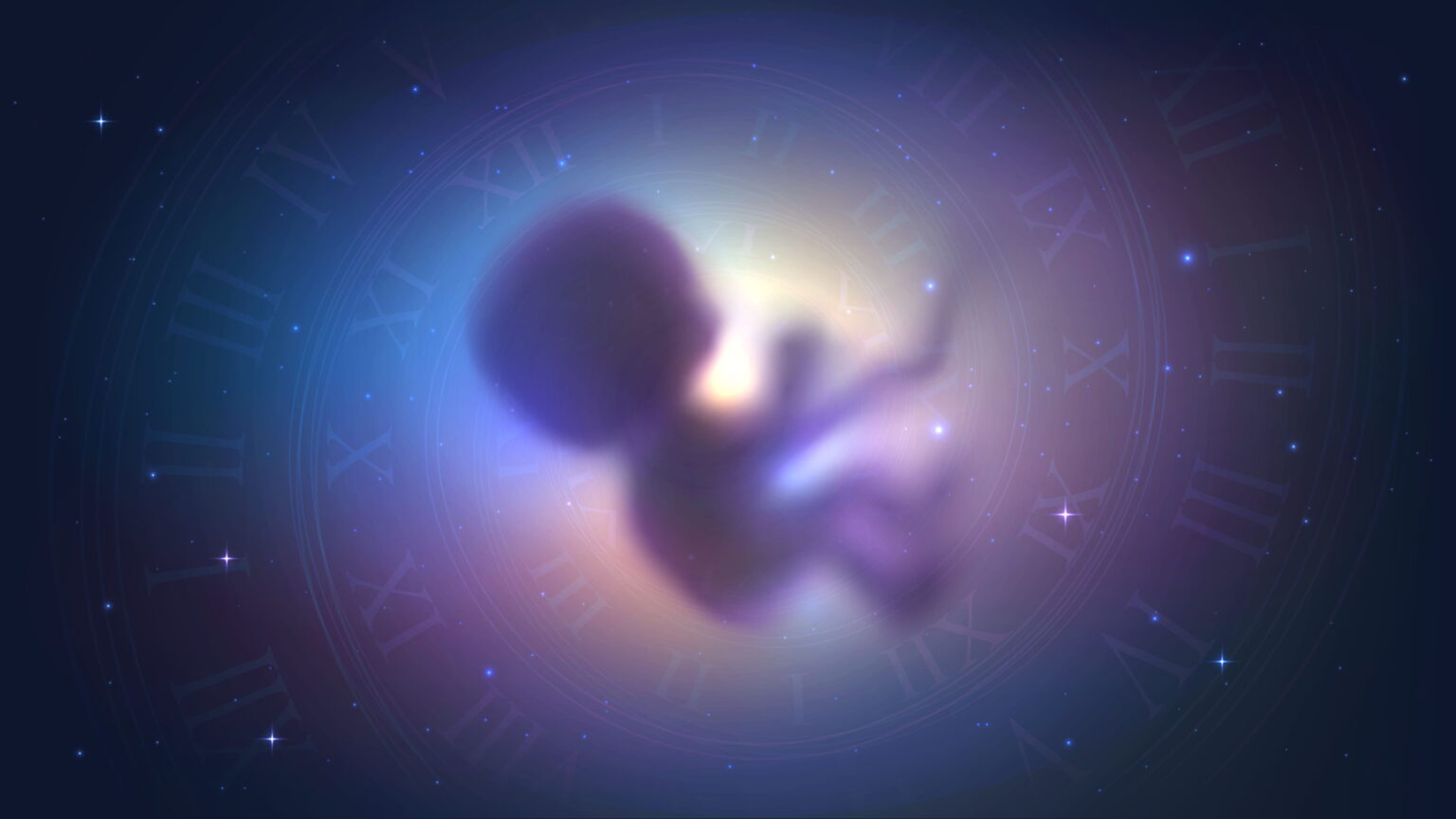 What is reincarnation? Is it real? | Spiritual Intelligence